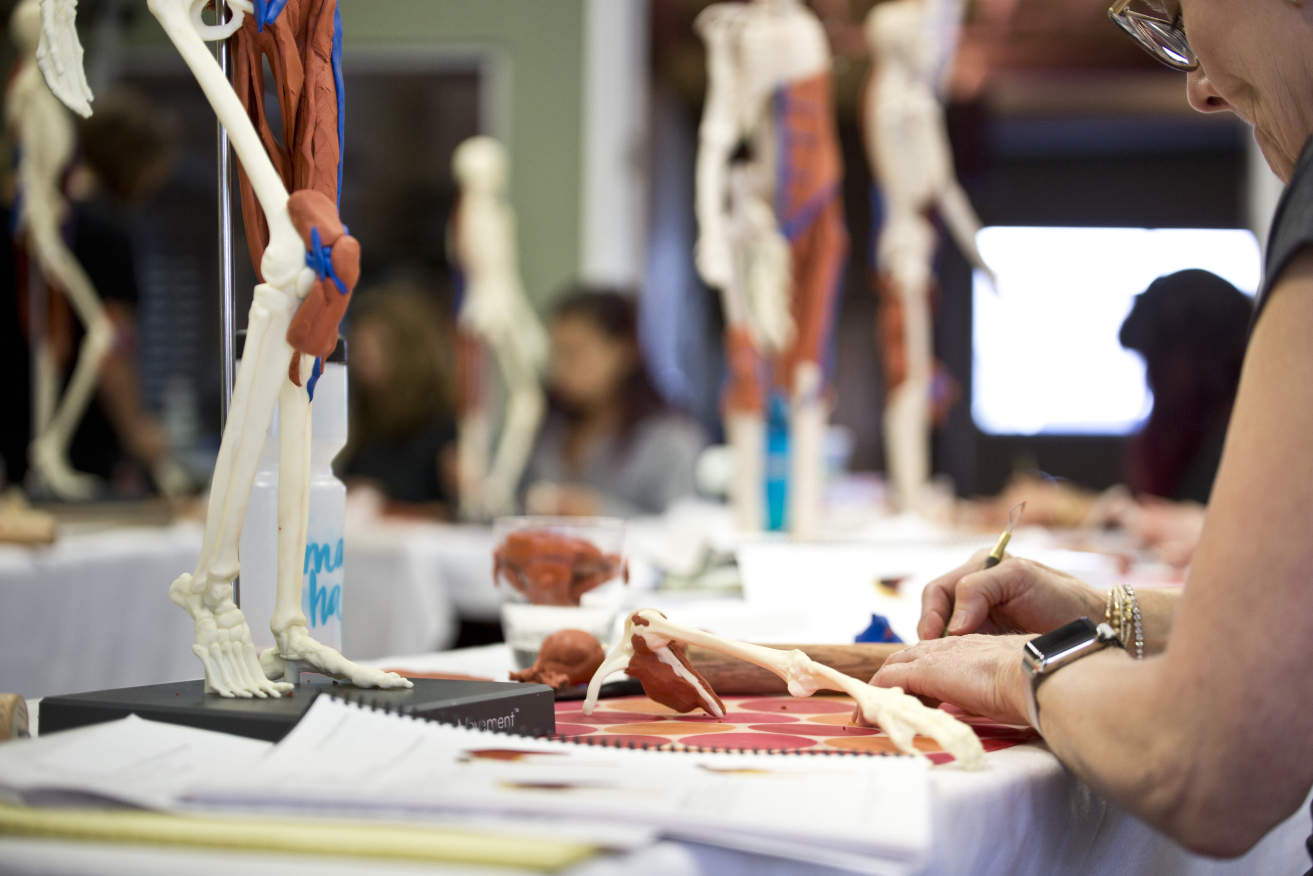 Sculptural Anatomy Workshops - Karen Frischmann